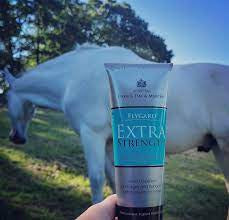Flygard Extra Strength Gel – Bellisle Equestrian Store NI