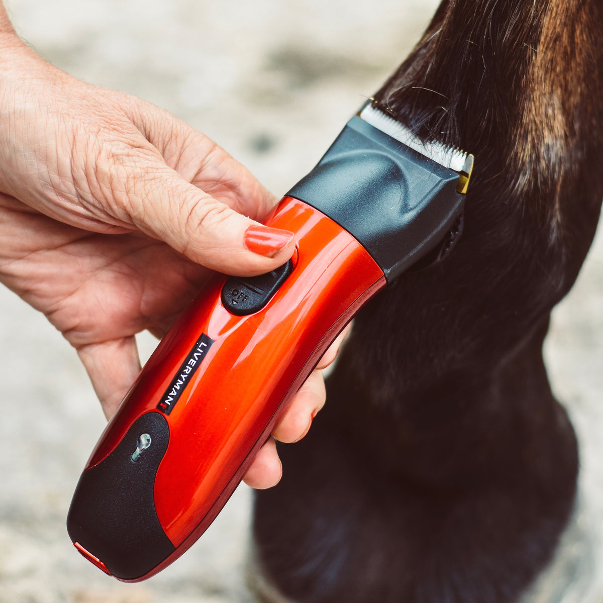 Liveryman Classic Trimmers – Bellisle Equestrian Store NI