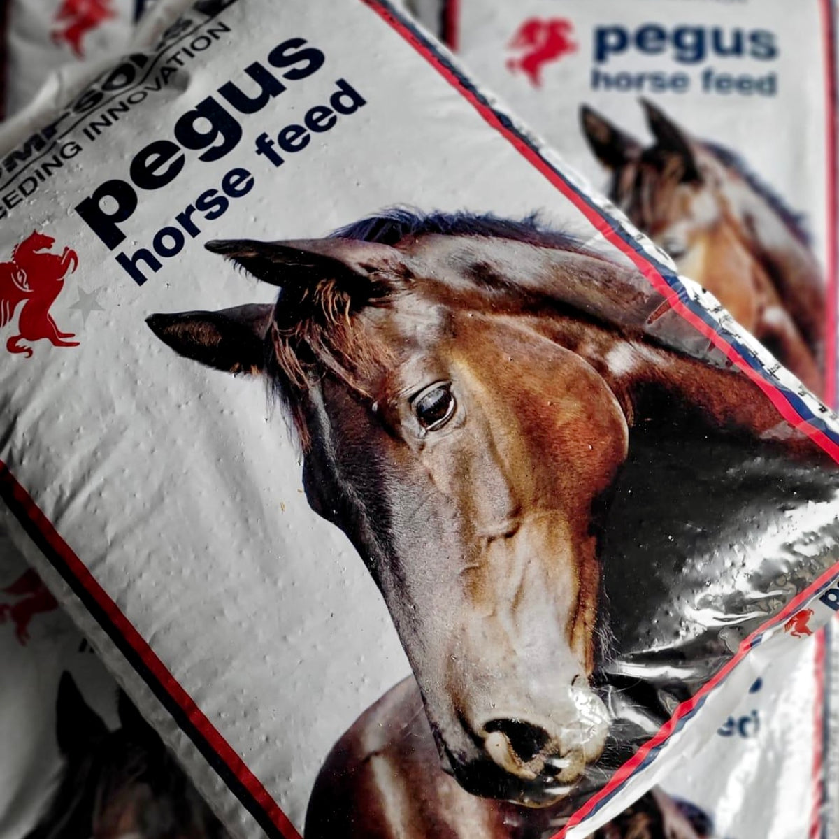 Pegus Cool Mix – Bellisle Equestrian Store NI